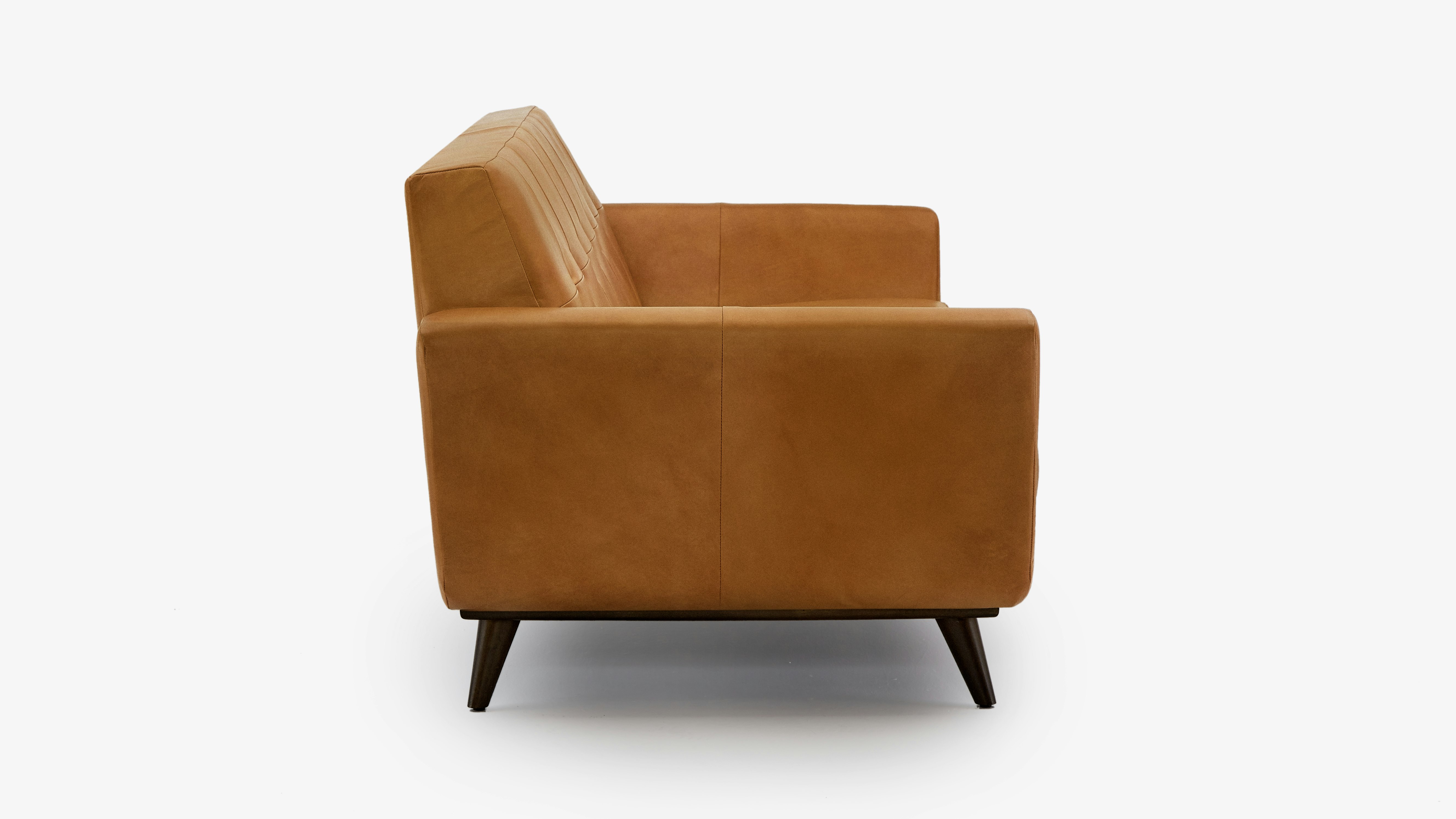 Hughes Leather Sofa Joybird