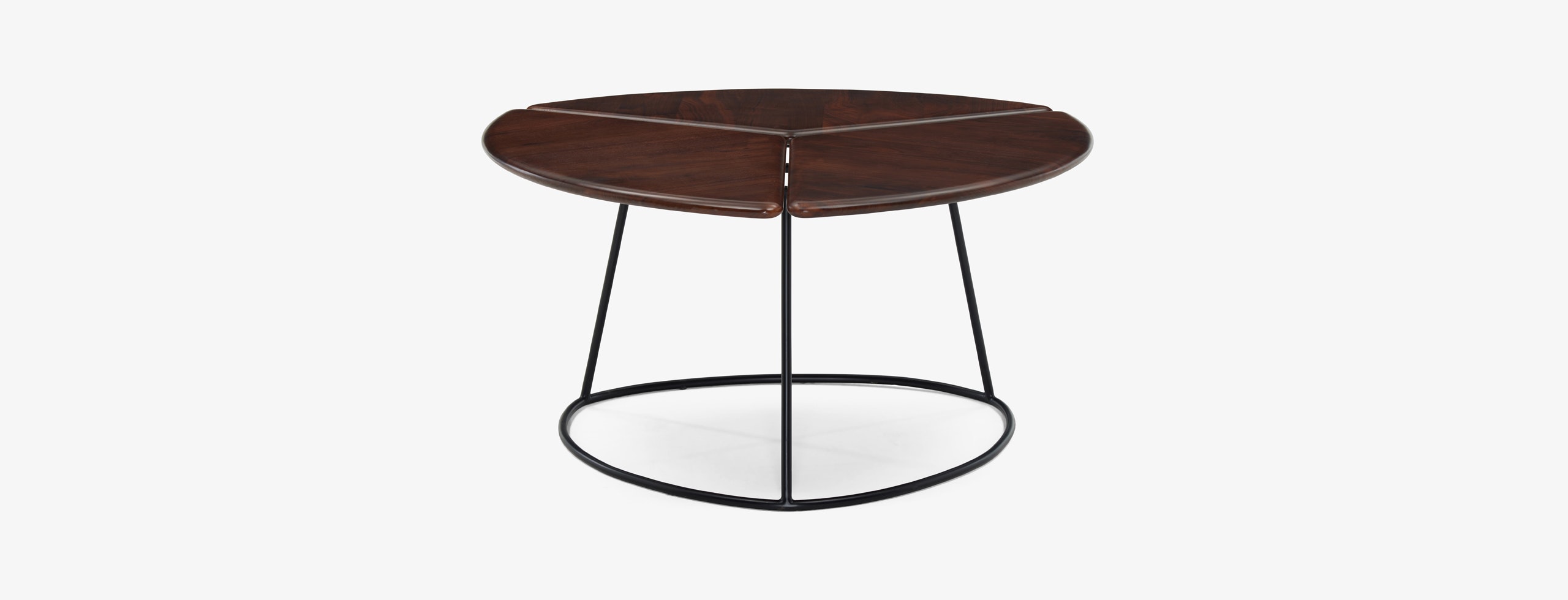 Monstera Coffee Table