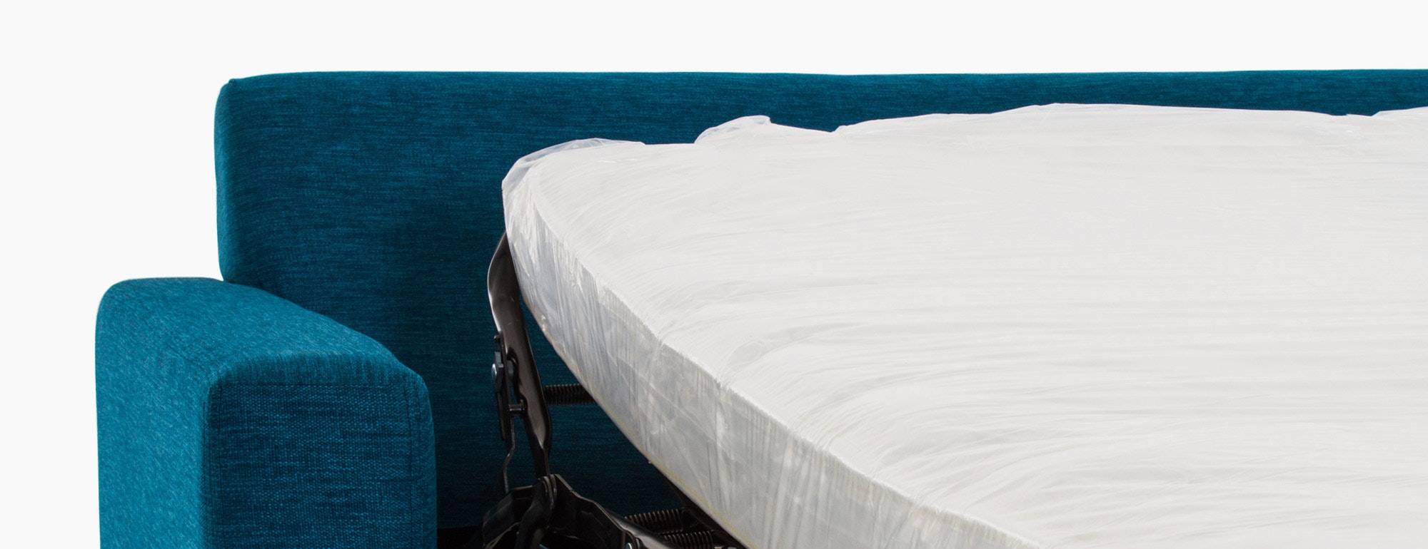 Anton Sleeper Sofa | Joybird