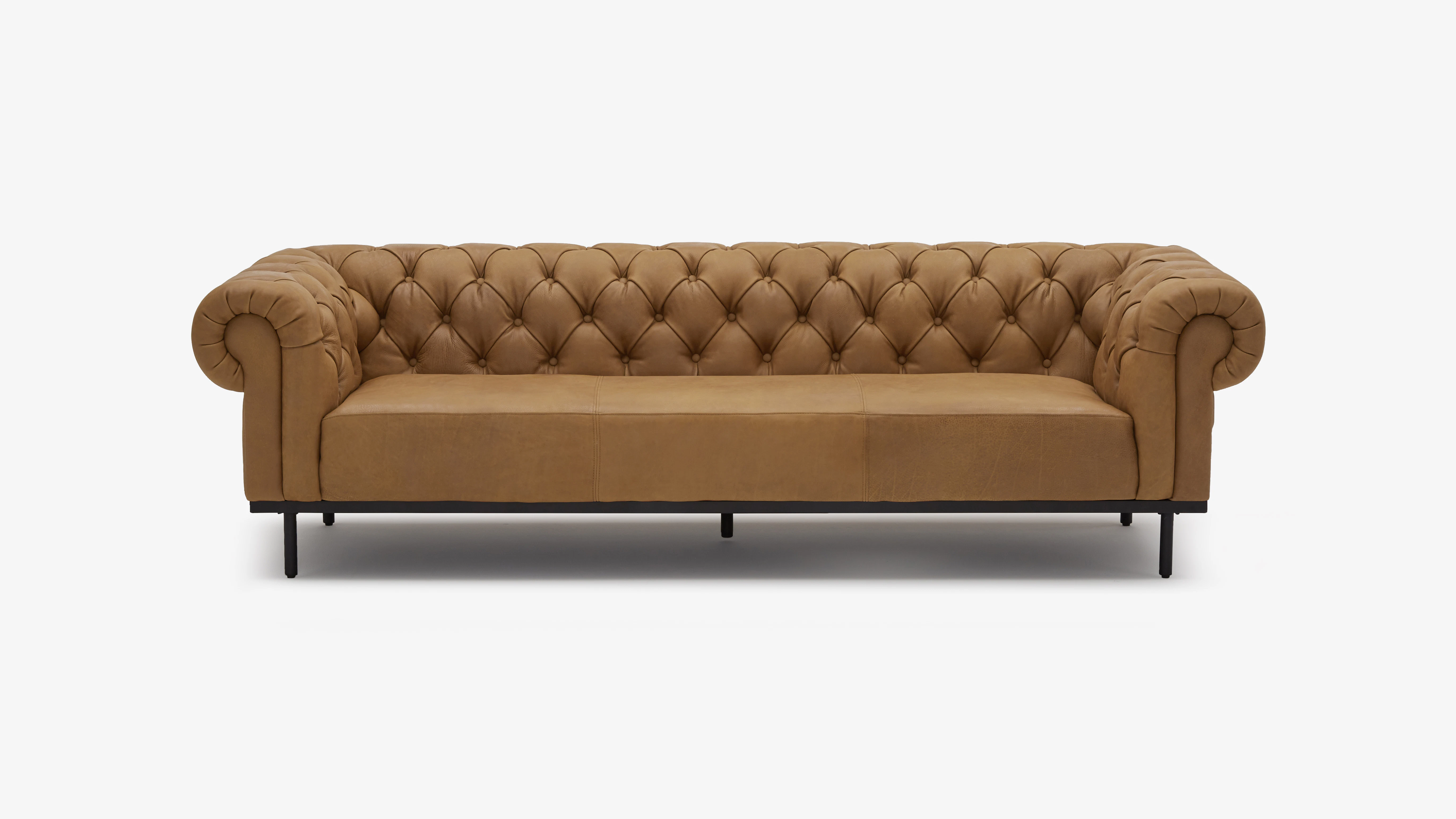 Bree Leather Sofa | Joybird